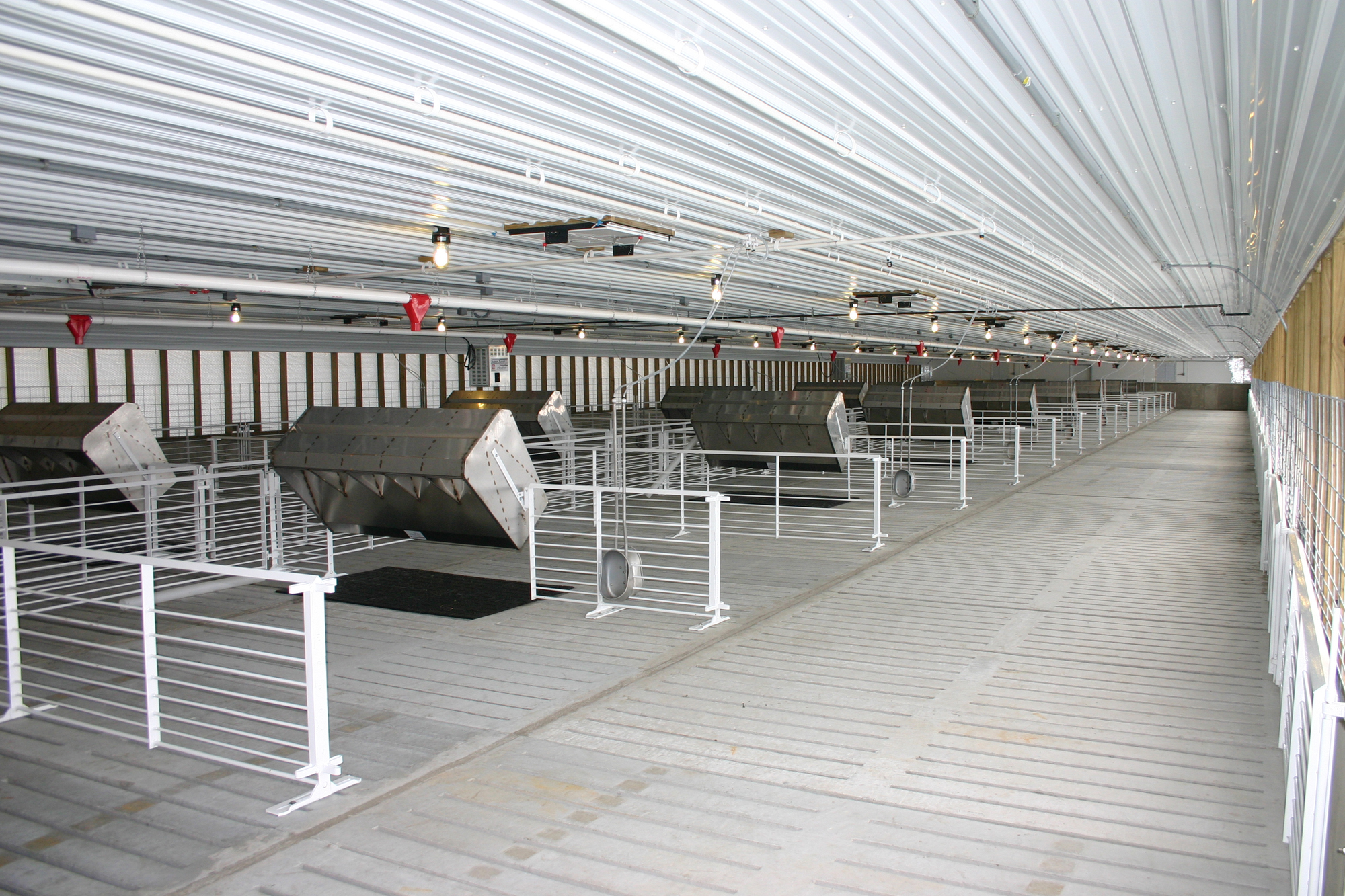 Sowjoy – Hog Facility Equipment